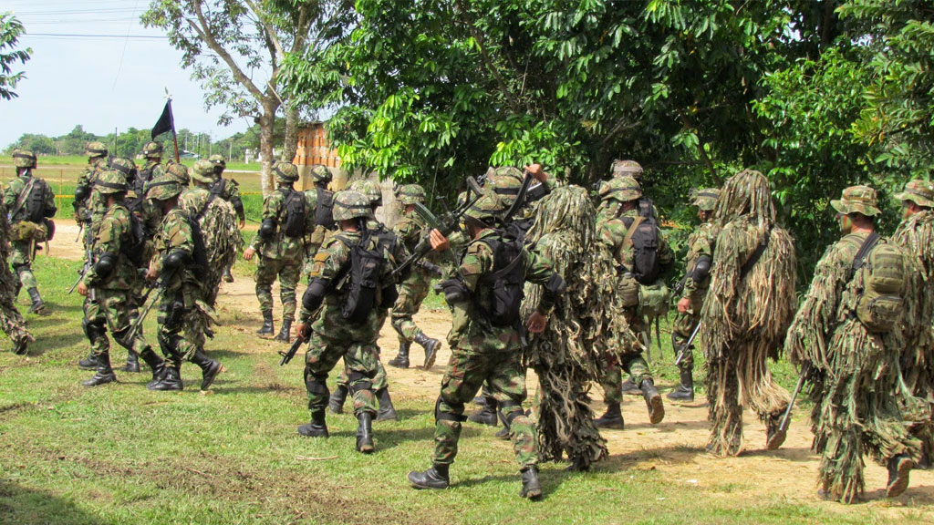 Nine FARC guerrillas killed in combat in central Colombia | Q COLOMBIA